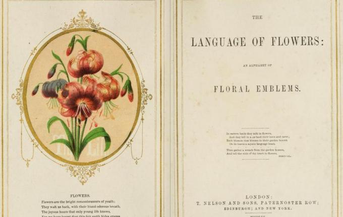 Floriography and the Language of Flowers – Gloomth & the Cult of Melancholy